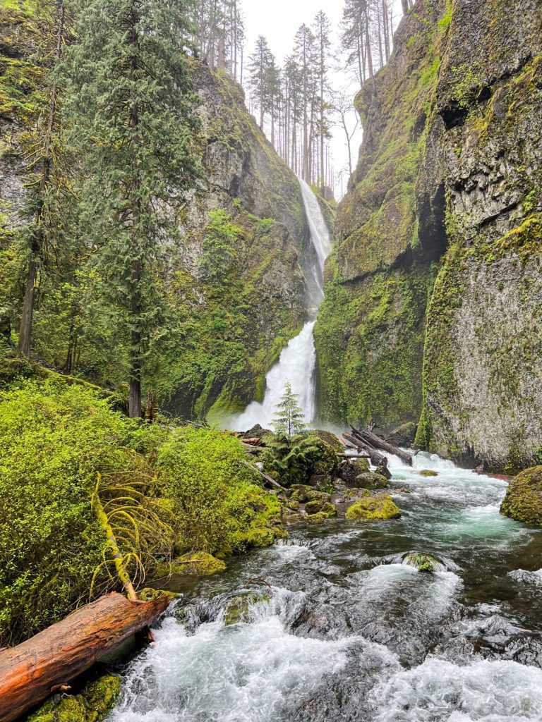 The Best Waterfall Hikes Within 2 Hours of Portland - Elizabeth Adventures
